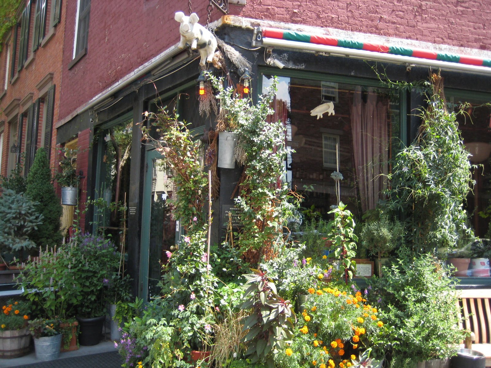 A New York tale of two lunches (Pearl Oyster bar and The Spotted Pig)
